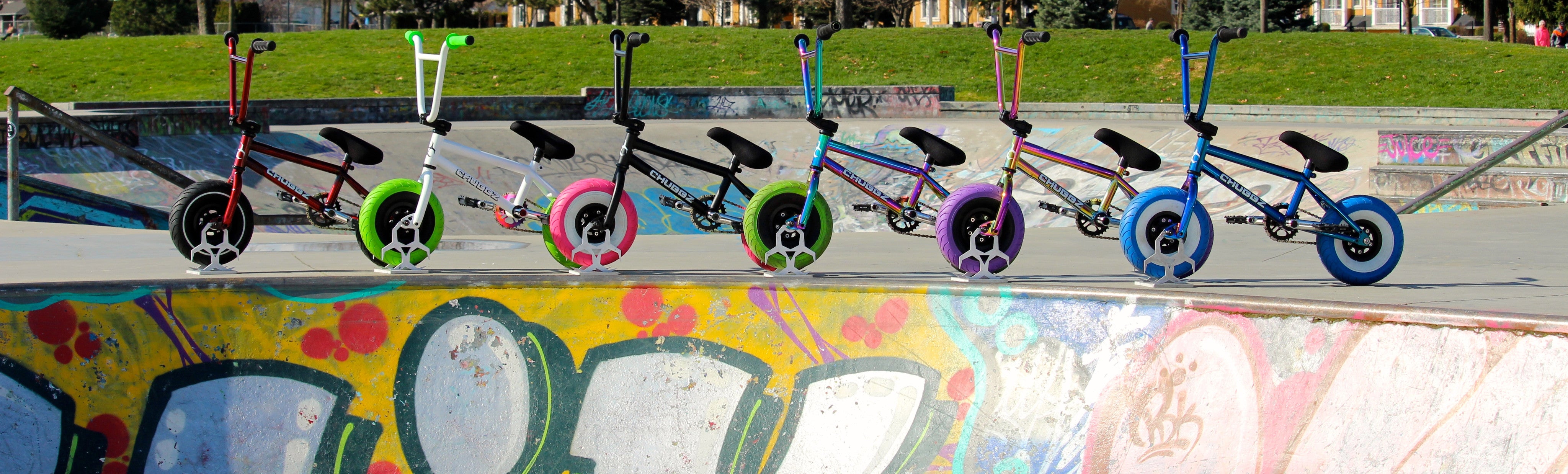 Chubbz Mini BMX – Harvester Bikes