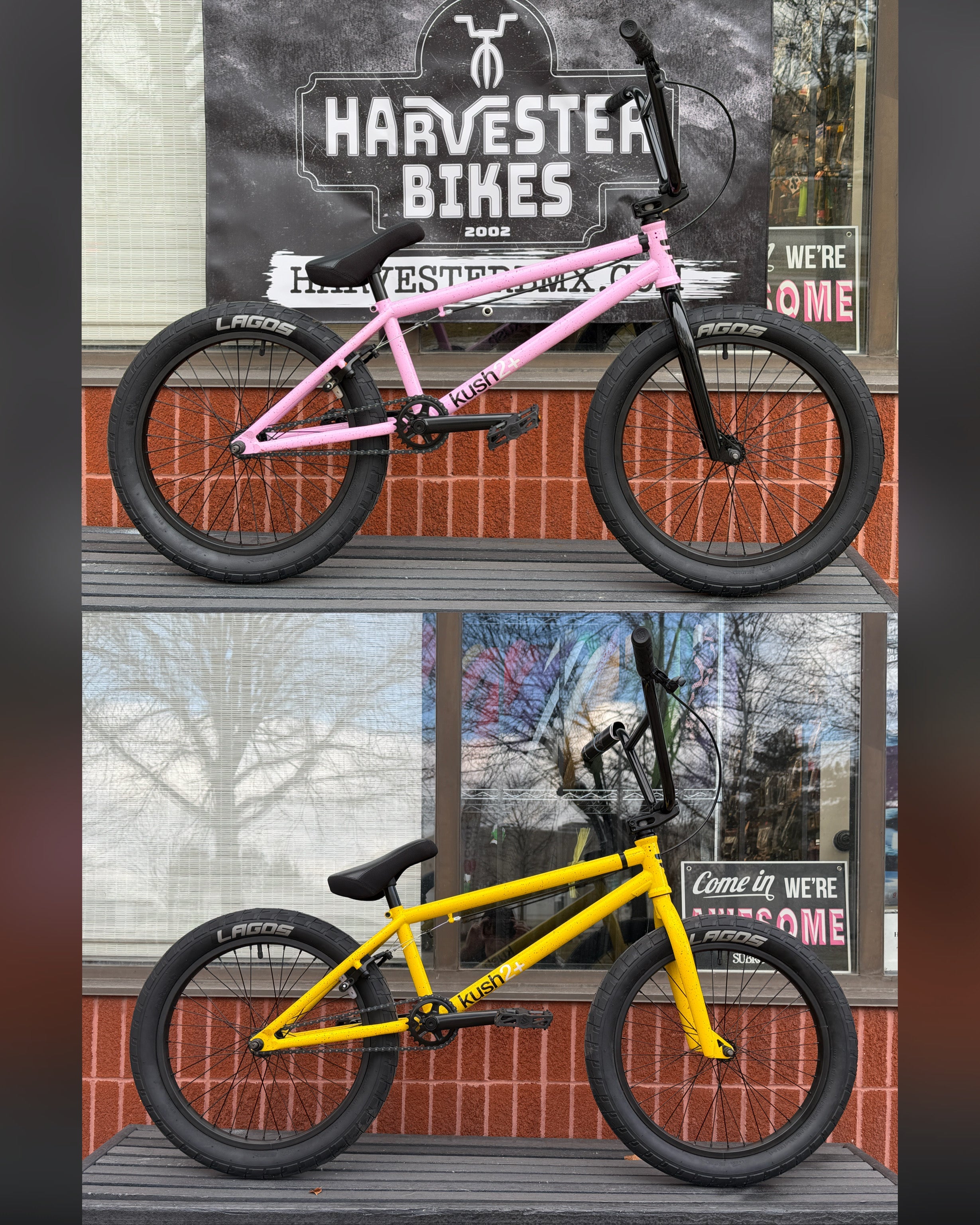 Mafia Bikes Kush2+ (Double Wall Rims) – Harvester Bikes